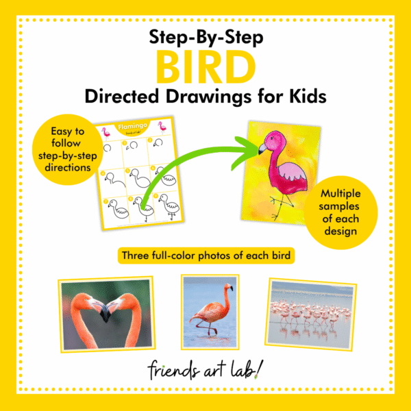 Bird Directed Drawings for Kids - Friends Art Lab
